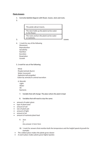 Years 2-6 Science End of Unit Assessments | Teaching Resources