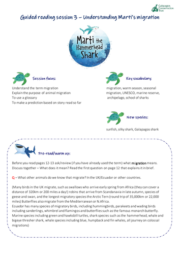 KS2 Guided reading sessions for home and school: Marti the Hammerhead ...