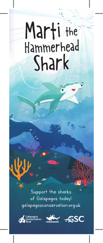 KS2 Guided reading sessions for home and school: Marti the Hammerhead ...