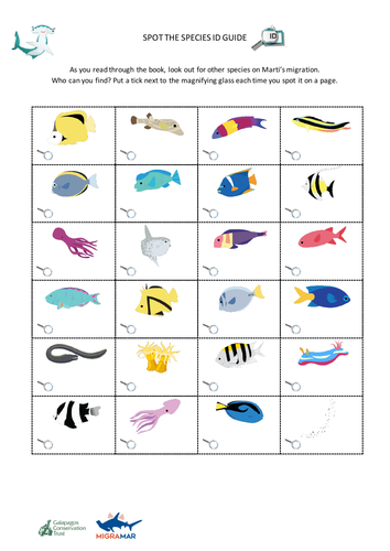 KS2 Guided reading sessions for home and school: Marti the Hammerhead ...