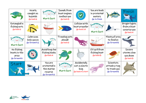 KS2 Guided reading sessions for home and school: Marti the Hammerhead ...