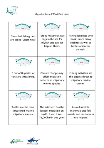 KS2 Guided reading sessions for home and school: Marti the Hammerhead ...