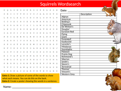 Squirrels Wordsearch Literacy Starter Activity Homework Cover Lesson ...