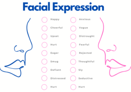 Facial Expressions Poster | Teaching Resources