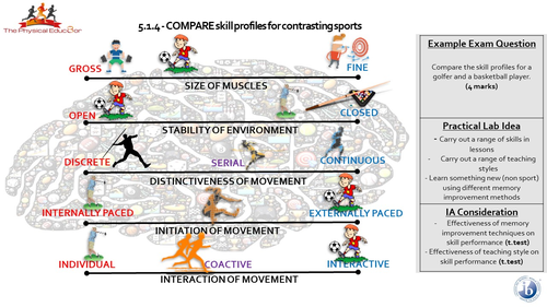Topic 5: Skill in Sport: IB SEHS ppt. All 3 sections. | Teaching Resources
