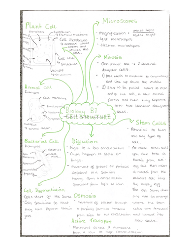 Aqa gcse combined science biology- paper 1 mind maps | Teaching Resources