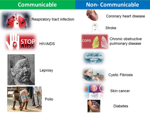Non-Communicable Diseases | Teaching Resources Non-Communicable Diseases | Teaching Resources