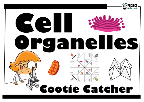 Cell Organelles Cootie Catcher | Teaching Resources