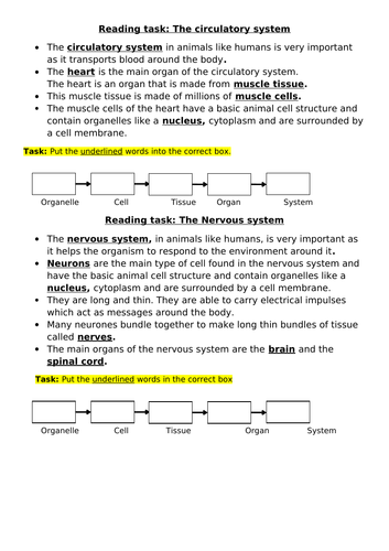 Levels of Organisation KS3 Activate Science | Teaching Resources