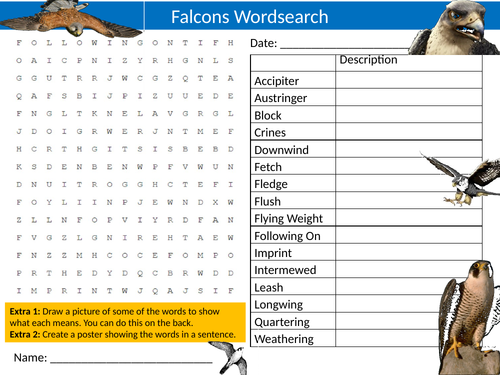 Animal Falcons Wordsearch Nature Starter Activity Homework Cover Lesson ...