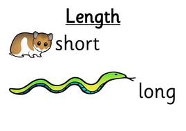 Year 1 Measures - height and length - display pack | Teaching Resources