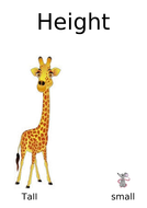 Year 1 Measures - height and length - display pack | Teaching Resources