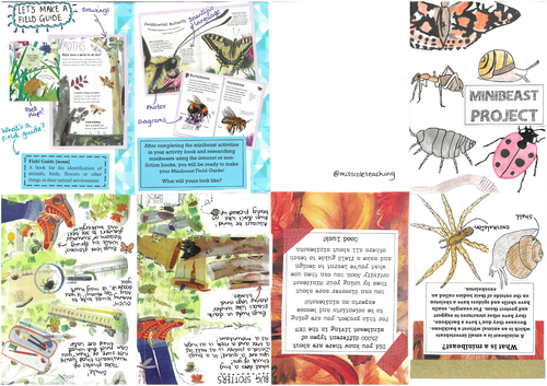 Minibeast Project (English and Science) 3 week project!! | Teaching ...