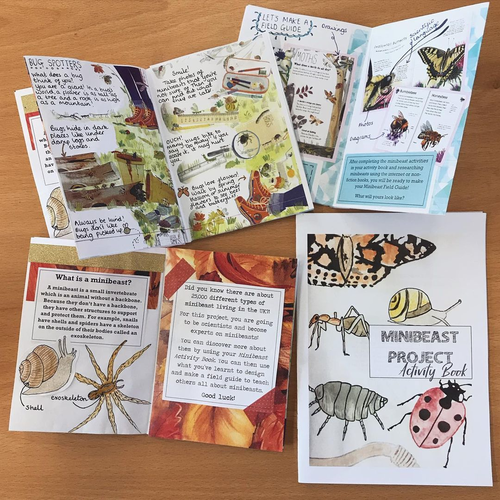 Minibeast Project (English and Science) 3 week project!! | Teaching ...