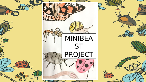 Minibeast Project (English and Science) 3 week project!! | Teaching ...