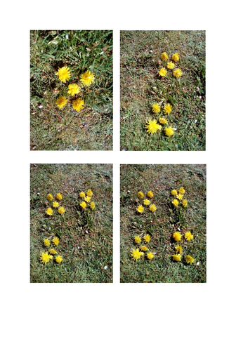 Dandelion Groups of Five and Number Cards | Teaching Resources