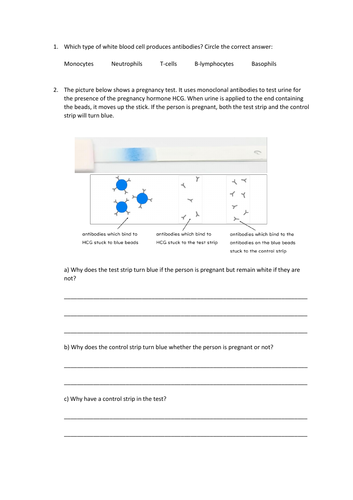 Monoclonal Antibodies Supplementary Slides and Worksheet (GCSE Biology ...