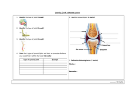 BTEC Sport Level 3 Unit 1 Skeletal System Complete Teaching Pack ...