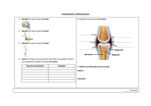 BTEC Sport Level 3 Unit 1 Skeletal System Complete Teaching Pack | Teaching Resources