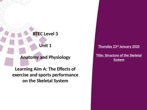 BTEC Sport Level 3 Unit 1 Skeletal System Complete Teaching Pack | Teaching Resources