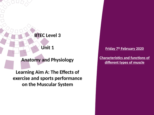 BTEC Sport Level 3 Muscular System Complete Teaching Pack | Teaching ...