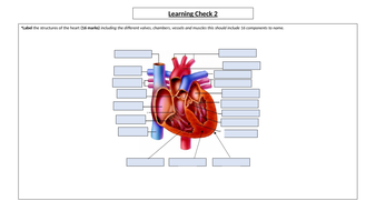 BTEC Sport Level 3 Unit 1 Cardiovascular System | Teaching Resources