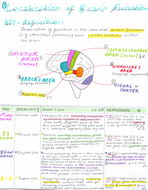 Localisation of Brain Function | Teaching Resources