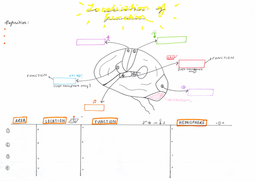 Localisation of Brain Function | Teaching Resources
