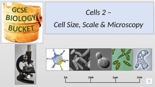 AQA GCSE Biology: Cells; size, scale & microscopy | Teaching Resources