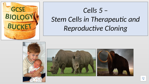 AQA GCSE Biology: Stem cells; therapeutic & reproductive cloning ...