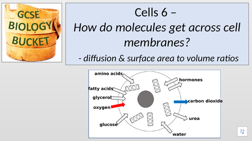 AQA GCSE Biology Cells: transport across membranes - diffusion ...