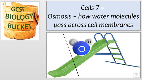 AQA GCSE Biology: Transport across membranes - osmosis | Teaching Resources