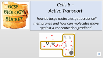 QA GCSE Biology: Cells: transport across membranes – active transport ...