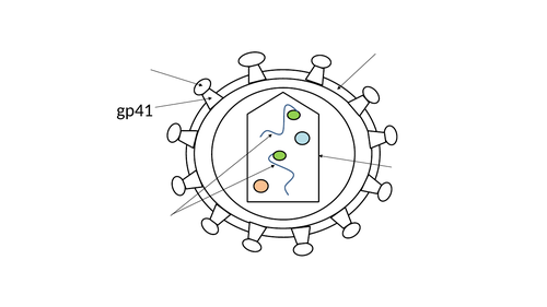 HIV and AIDS (AQA A-level Biology) | Teaching Resources