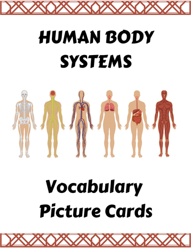 Science Vocabulary Picture Cards - Human Body Systems | Teaching Resources