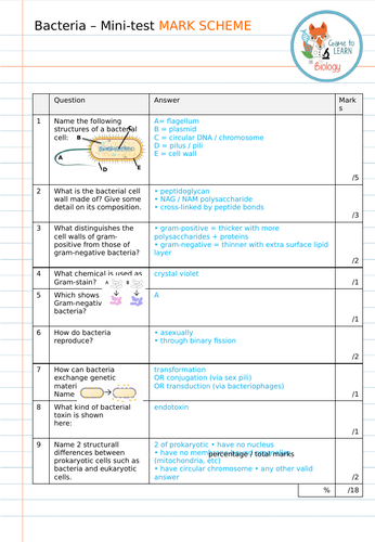 Bacteria - Mini-test (KS5) | Teaching Resources