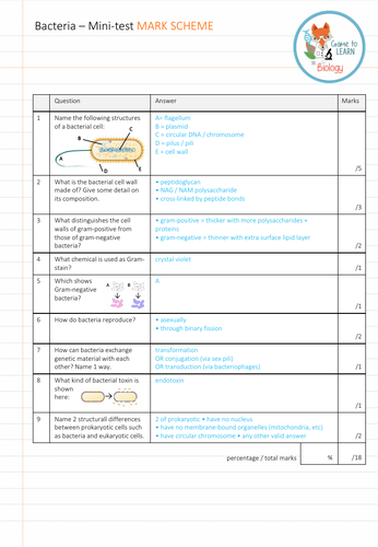 Bacteria - Mini-test (KS5) | Teaching Resources