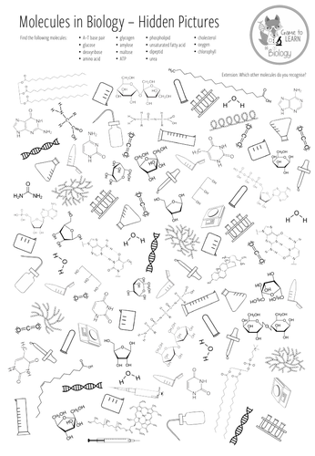 Molecules in A level Biology - Hidden pictures (KS5) | Teaching Resources