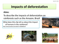 Impacts of deforestation in the Amazon rainforest (AQA The Living World ...