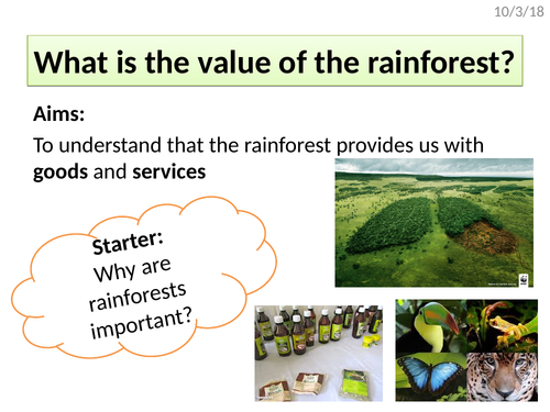 The value of tropical rainforest - goods and services (AQA The Living ...