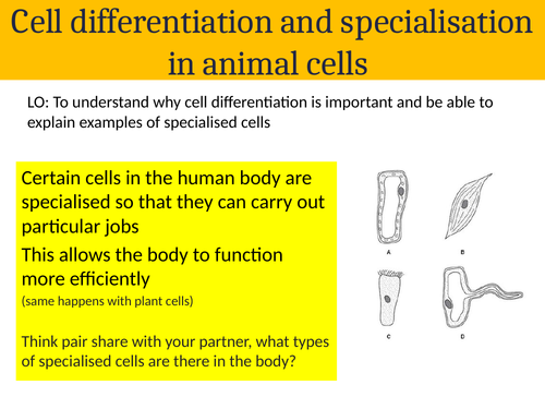 AQA cell specialisation | Teaching Resources