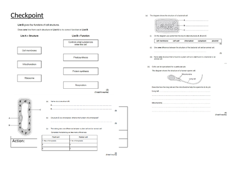 AQA cell specialisation | Teaching Resources