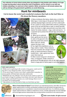 6 Forest School Activity Sheets Pack 2, KS1, KS2 | Teaching Resources