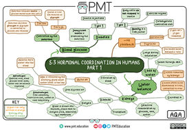AQA GCSE Biology (9-1) Mindmaps | Teaching Resources