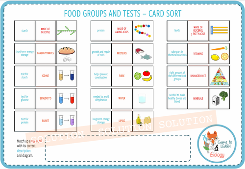 Food groups & Tests – Digital Card Sort (KS3/4) | Teaching Resources