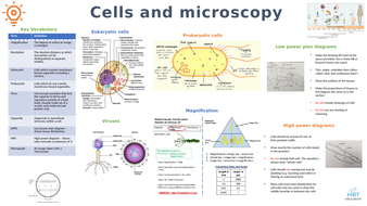 Cells and Microscopy Summary / Knowledge Organiser | Teaching Resources
