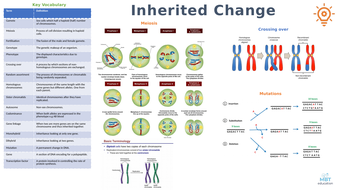Inheritance and Meiosis Summary / Knowledge Organiser | Teaching Resources
