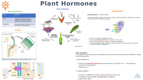 Plant hormones Summary / Knowledge Organiser | Teaching Resources