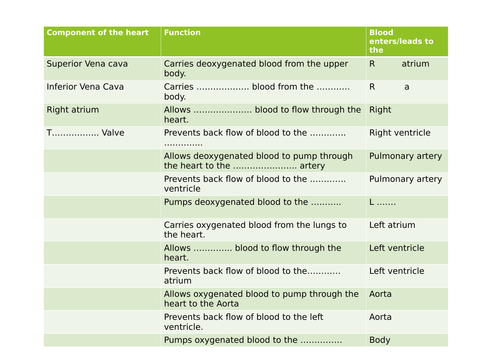 Structure of the heart and blood vessels | Teaching Resources