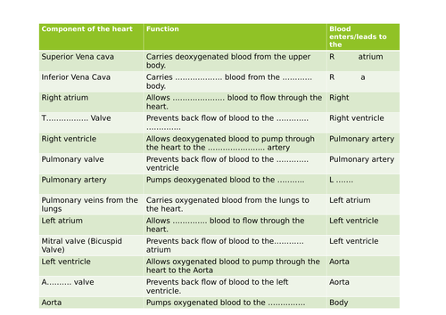 Structure of the heart and blood vessels | Teaching Resources